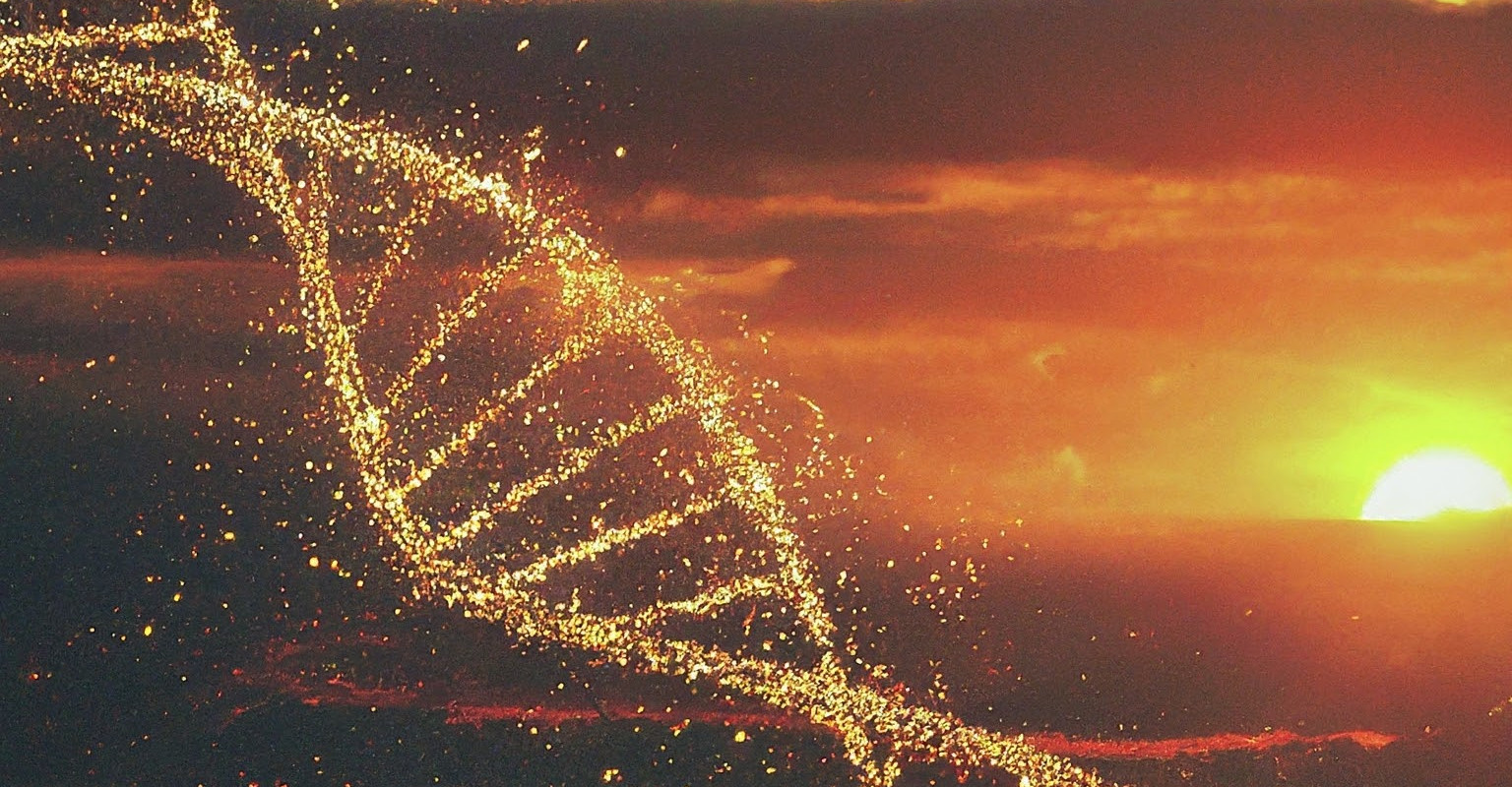 Research – EPI AGING LAB